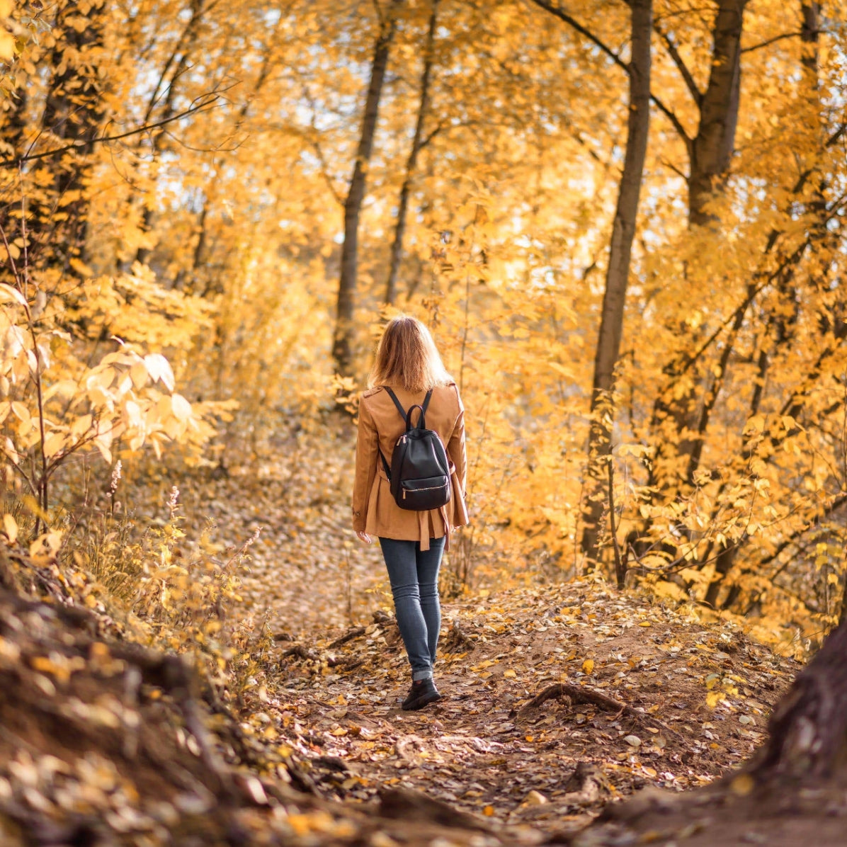 Autumn Anxiety: Why You May Feel More Stressed This Season – Nature Target