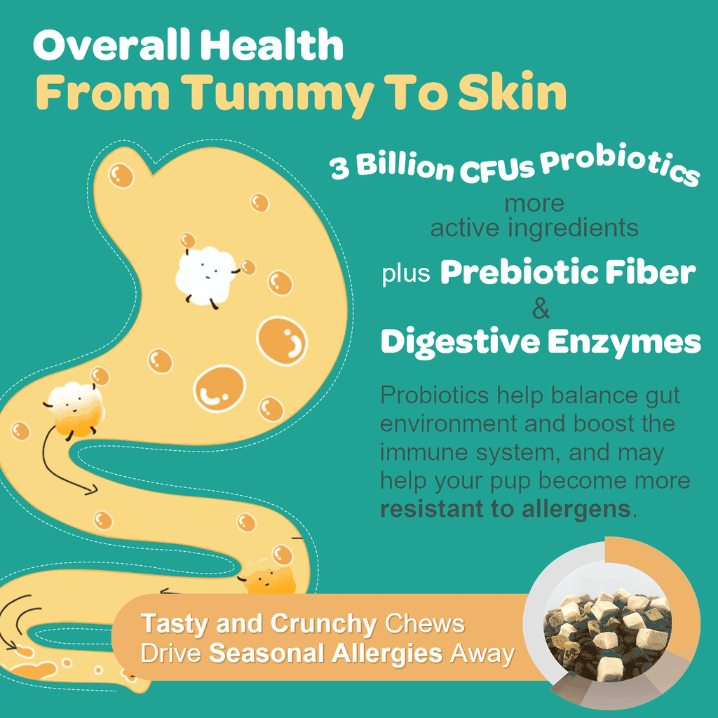 NATURE TARGET Large Pet Dog Allergy Relief Freeze Dried Chews – Nature ...