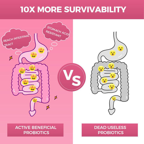 Best Probiotic Supplement for Adults' Health – Nature Target