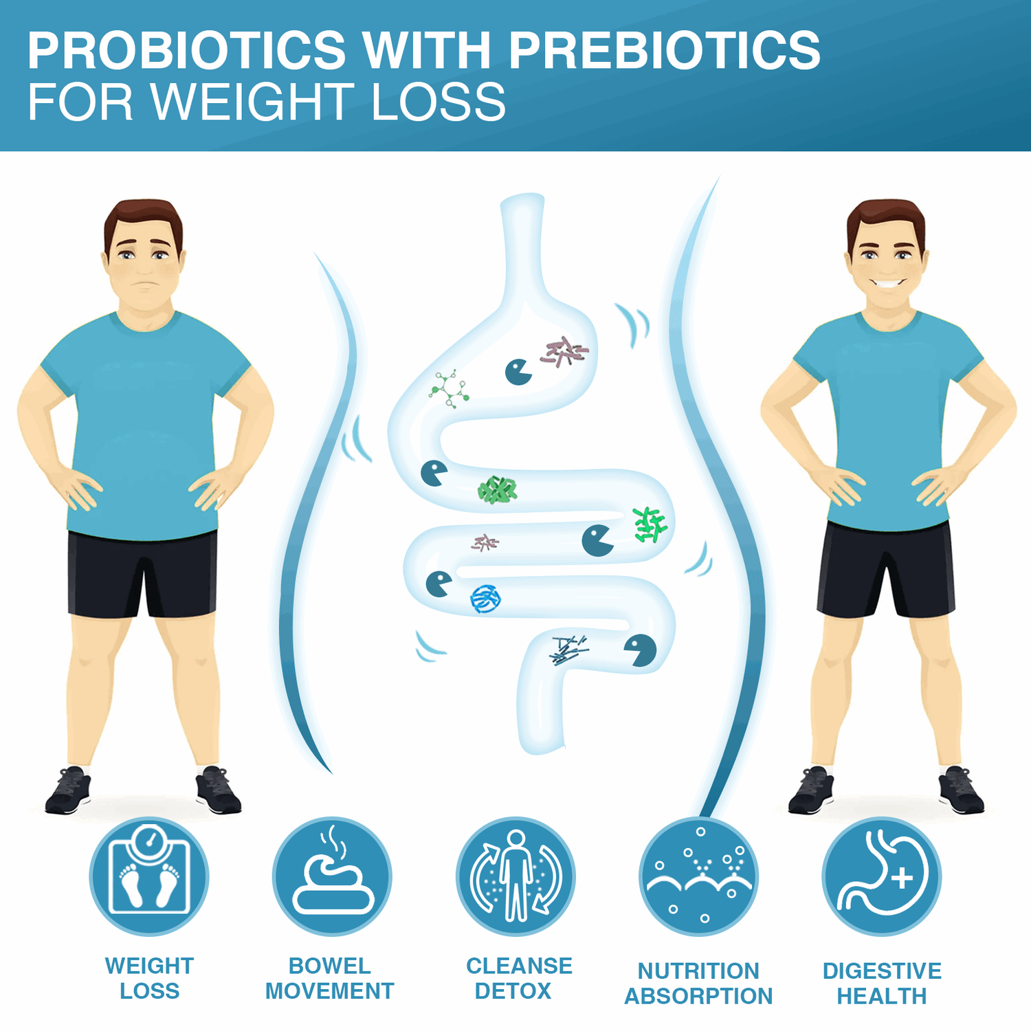 Probiotic Supplement for Men, with Gut and Mental Health – Nature Target